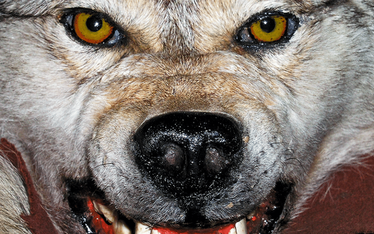 Spartoï, pièce mythologique de science-fiction du Groupe Apache - Sceneweb