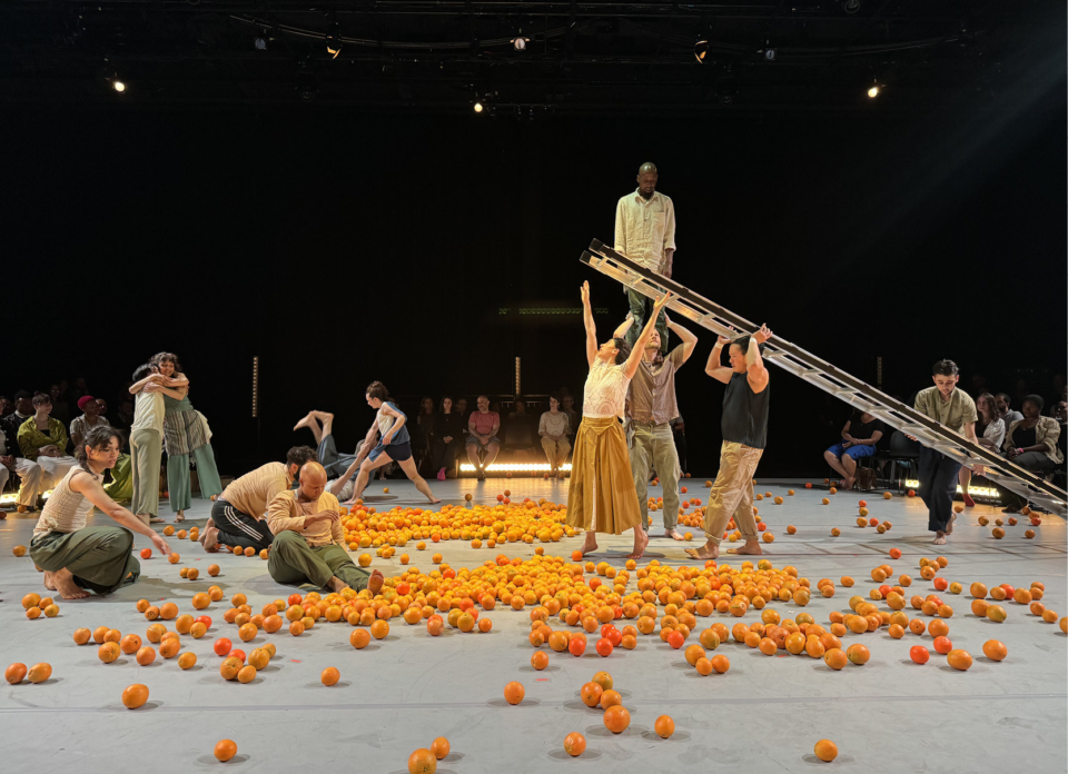 Gathering de Samar Haddad King